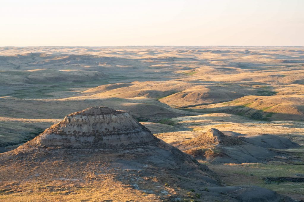 Explore Canada’s Grasslands | Canadian Wildlife Federation